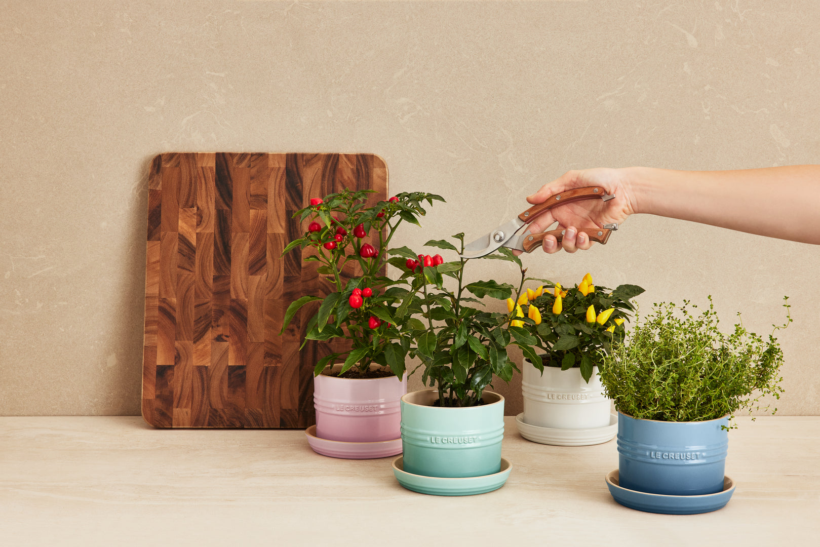 Kitchen Boutique – Kitchen Boutique Canada